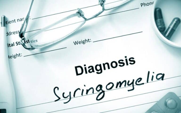 Syringomyelia: What is it and Does my Cavalier Have it | My Cavvy