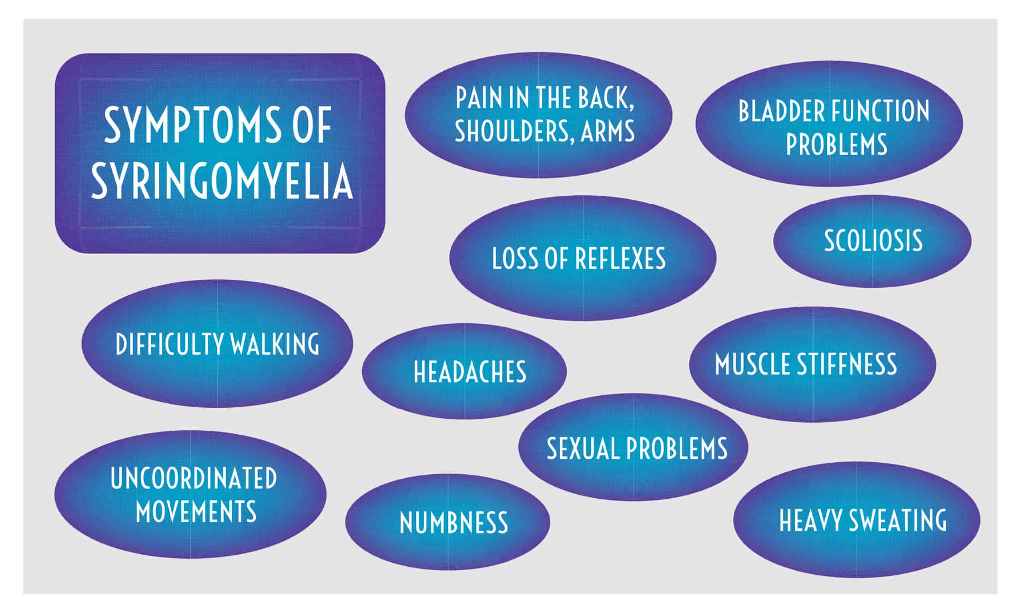 What Percentage of Cavaliers Have Syringomyelia: Intriguing Figures ...